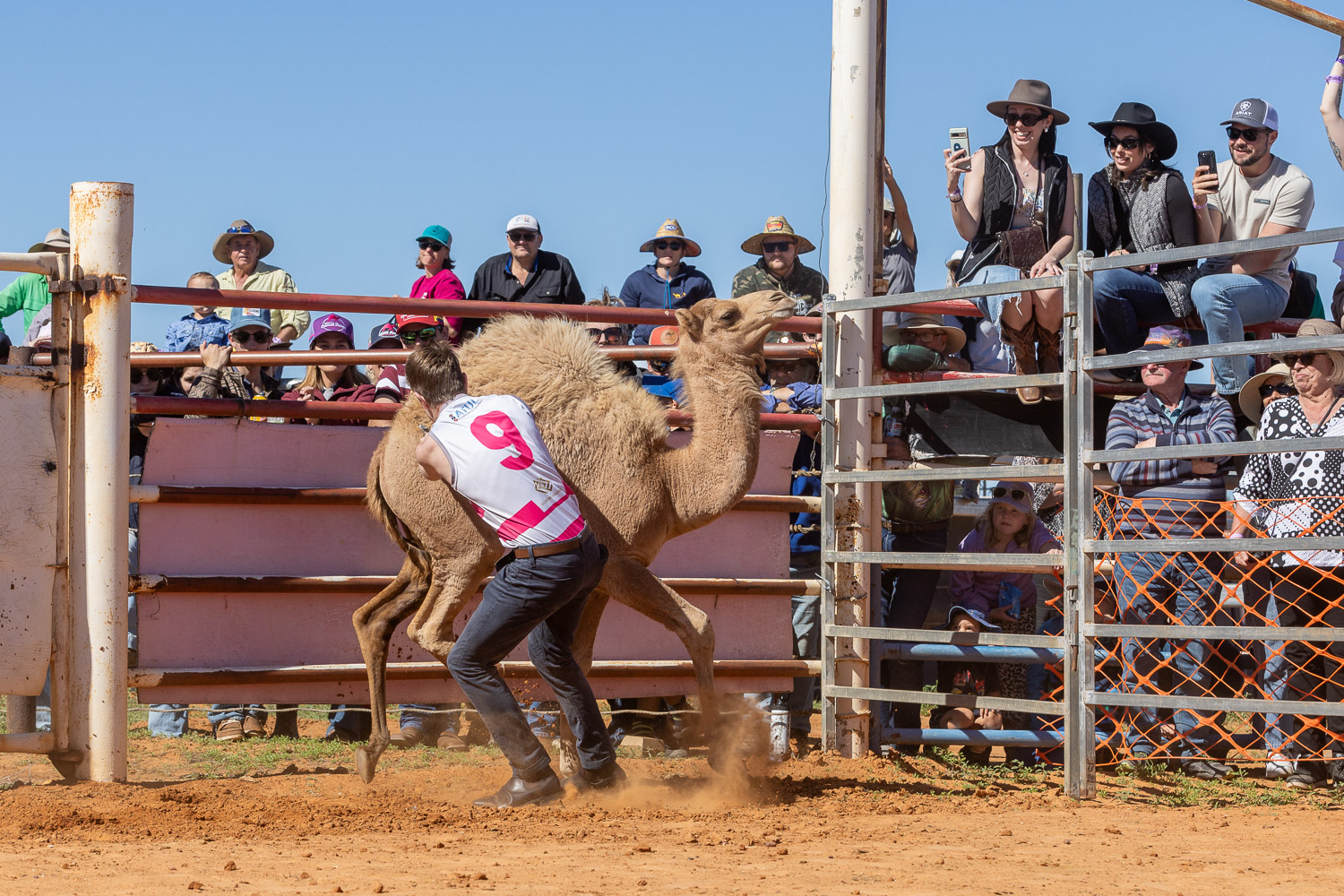 BOULIA CAMEL RACES 2024 - 13.07.2024 - Matt Williams - WEB RES-1513 ...